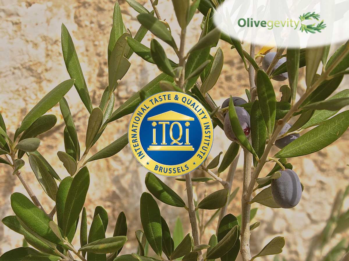 International Taste & Quality Institute Brussels 2016 - Flavored olives ...